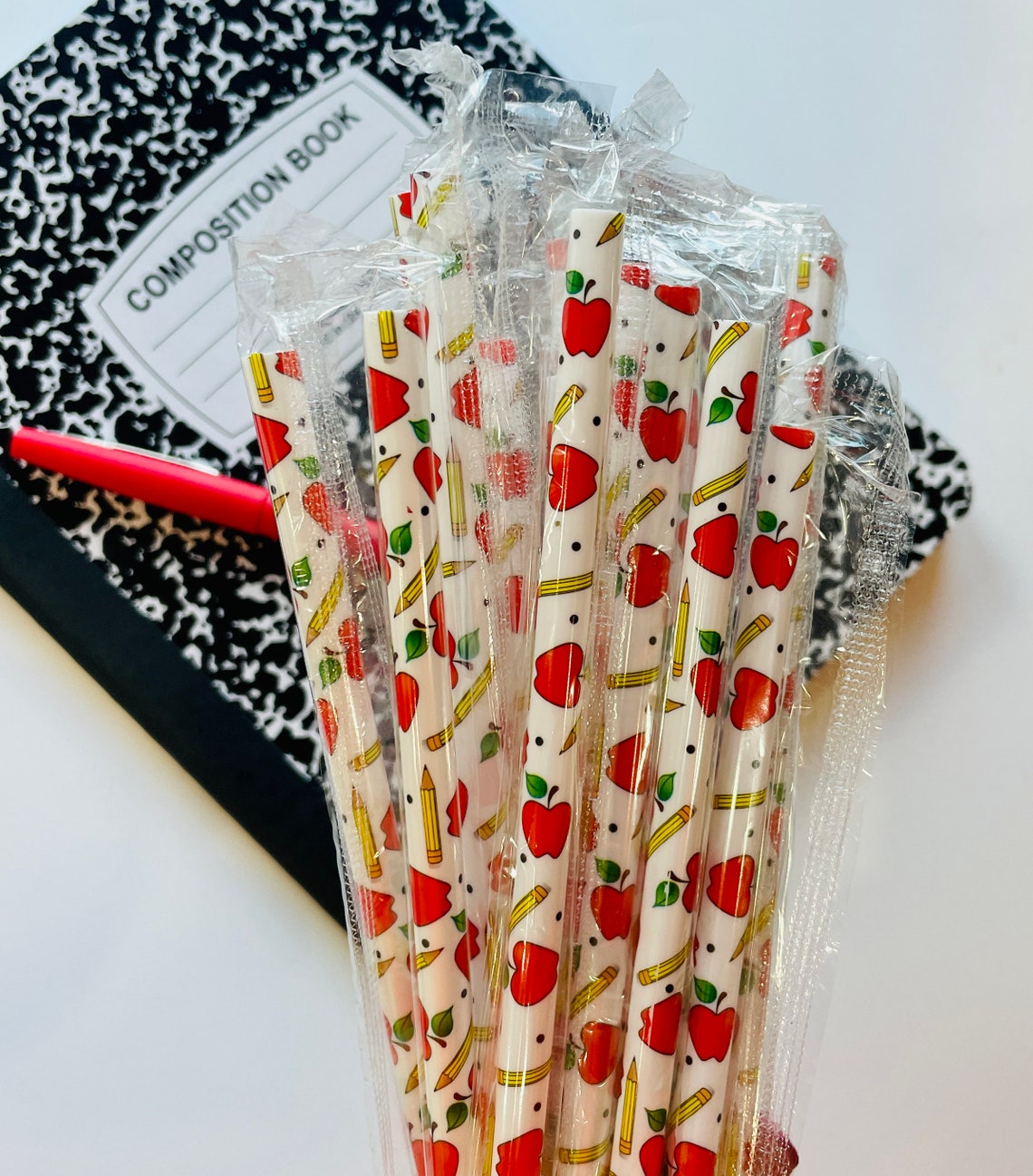 School Teacher 9 Inch Reusable Straws, Eco Friendly, Environmentally ...