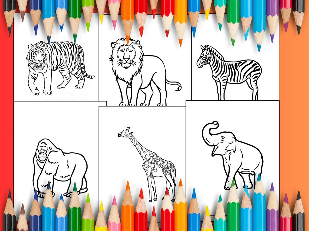 Coloring Pages for Kids Learning Activity Coloring Book for Children - Etsy