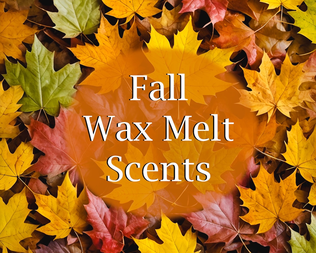 Assorted Fall Wax Melts: Cinnamon, Pumpkin, Apple Scents - Etsy