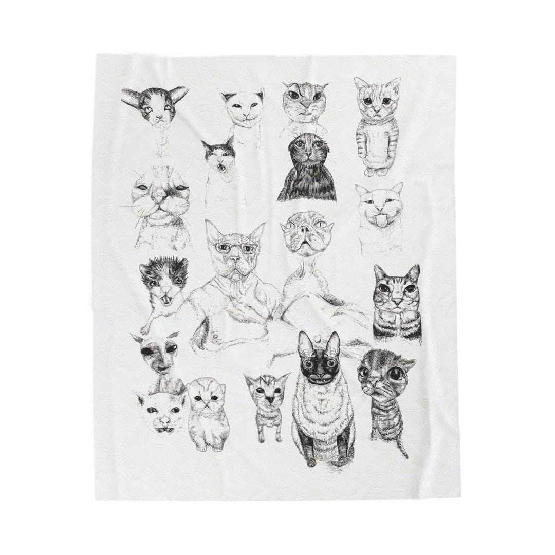 Velveteen Cat Meme Plush Blanket - Etsy