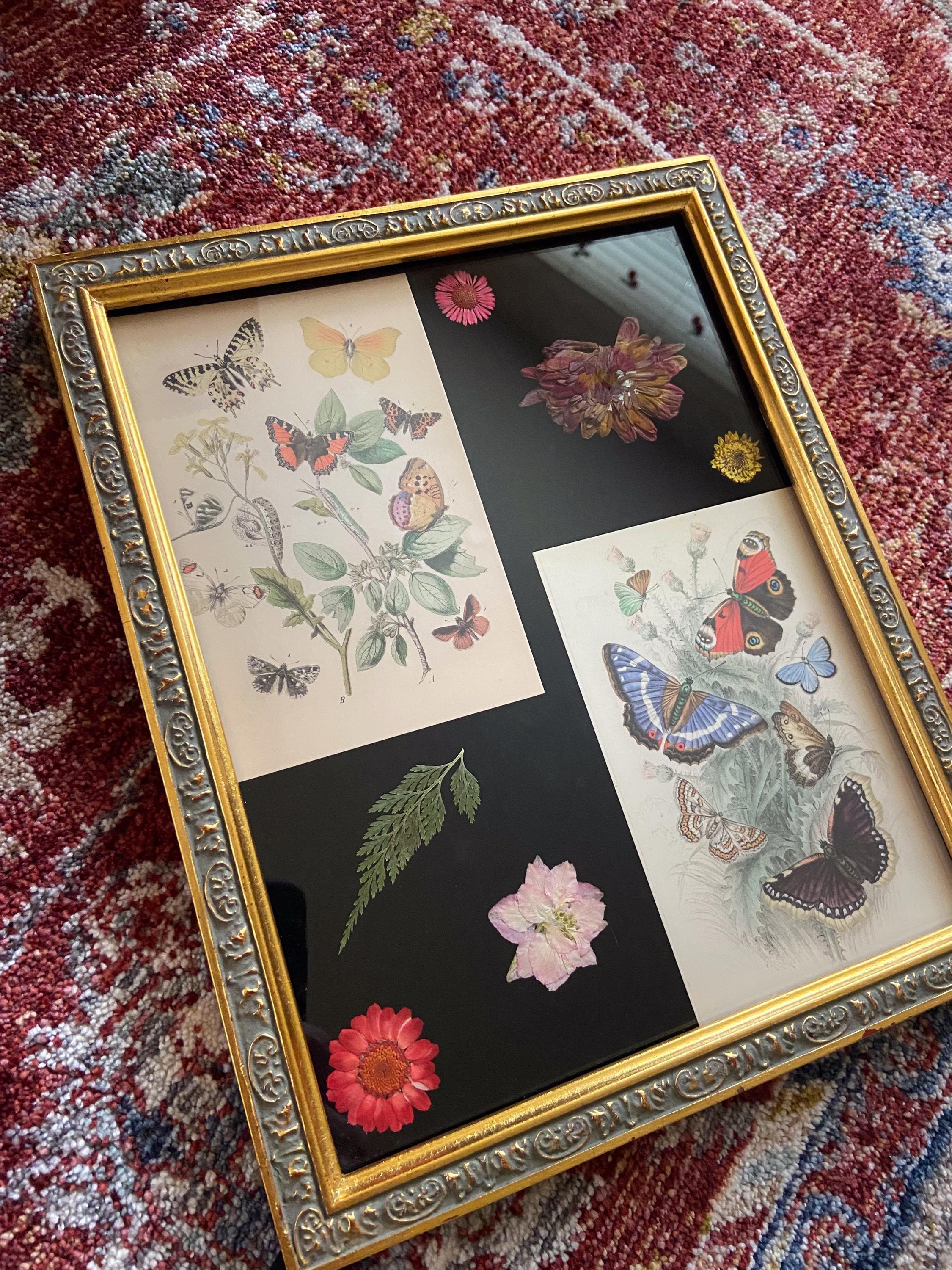 Vintage Nature Collage Gallery Wall Decor 10.75 in X 8.75 In - Etsy