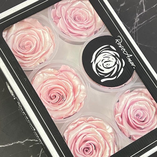 Preserved Roses - Etsy