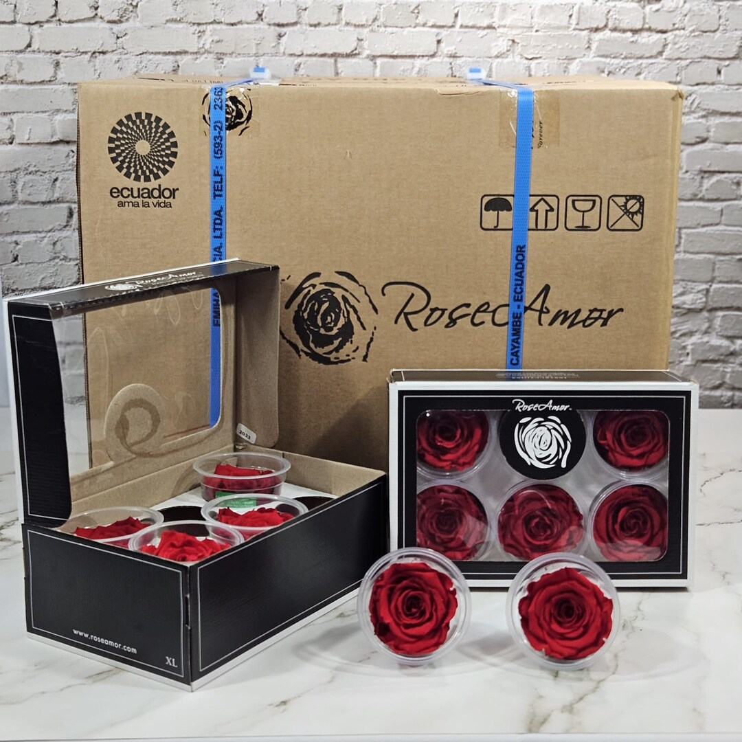 Wholesale Box of 20 Six Packs LL+ Roseamor Ecuadorian Preserved Roses ...