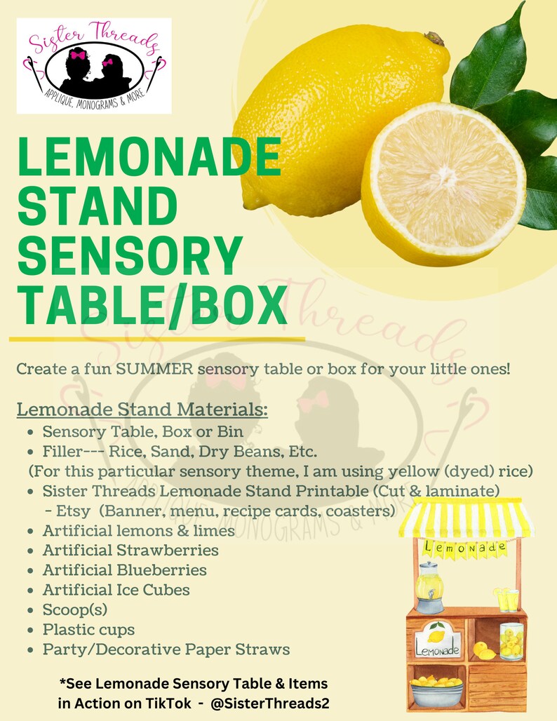 Lemonade Stand Sensory Table - Etsy
