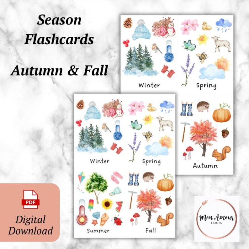 Weather Flashcards | Seasons of the Year Poster | Home School Weather ...