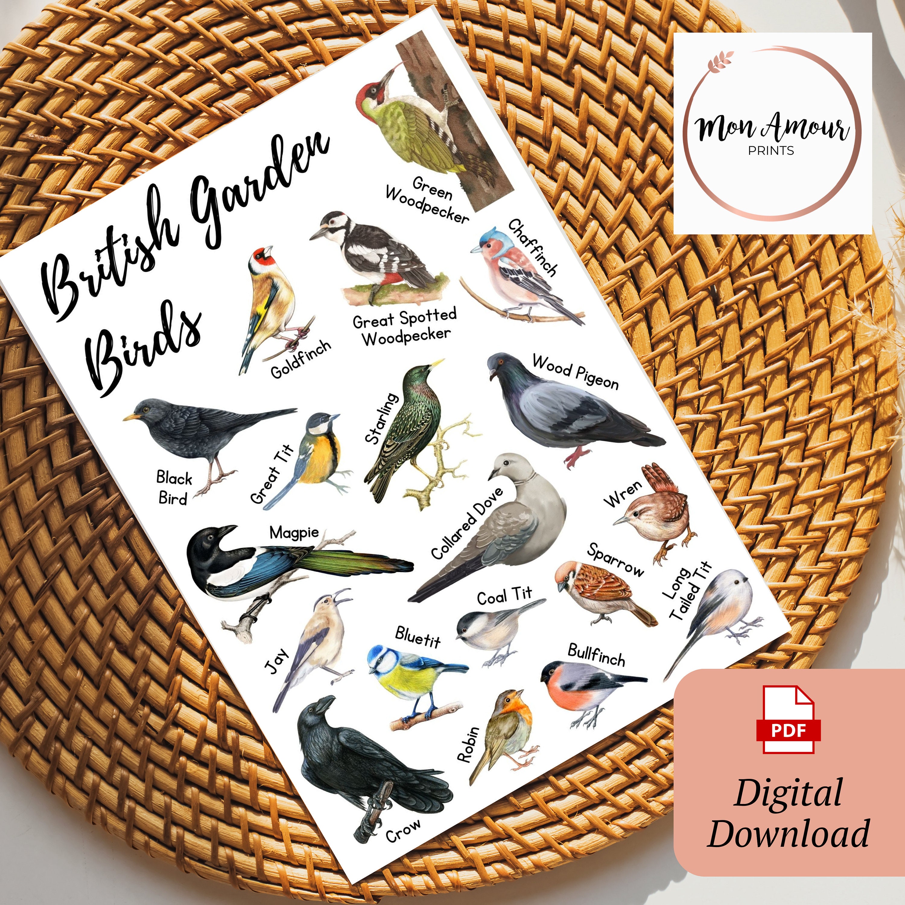 Printable British Garden Birds Poster and Flashcards | UK Bird ...