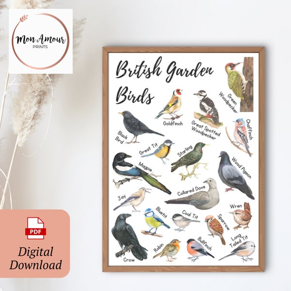 Uk Bird Identification Poster - Etsy UK