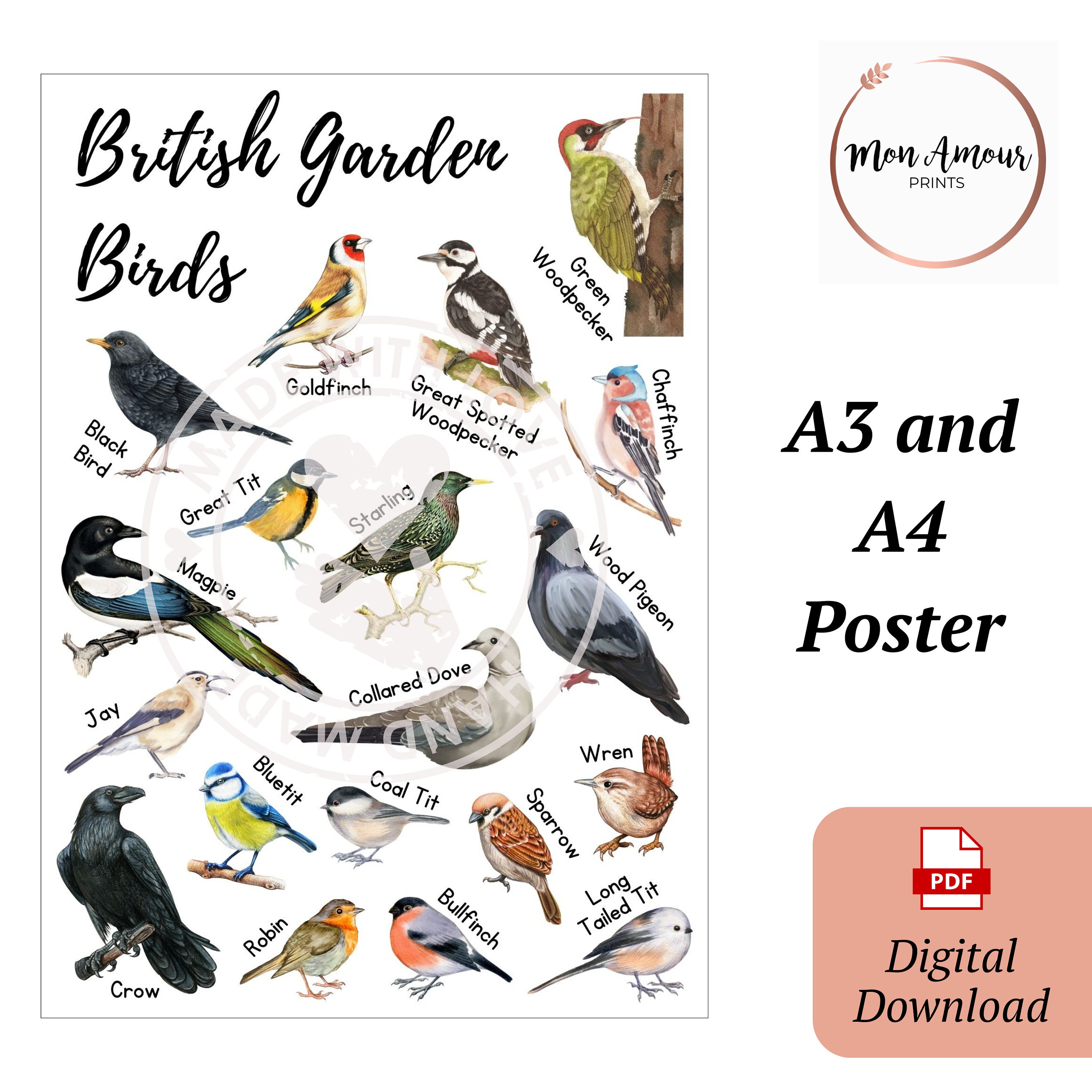 Printable British Garden Birds Poster UK Bird Identification British ...