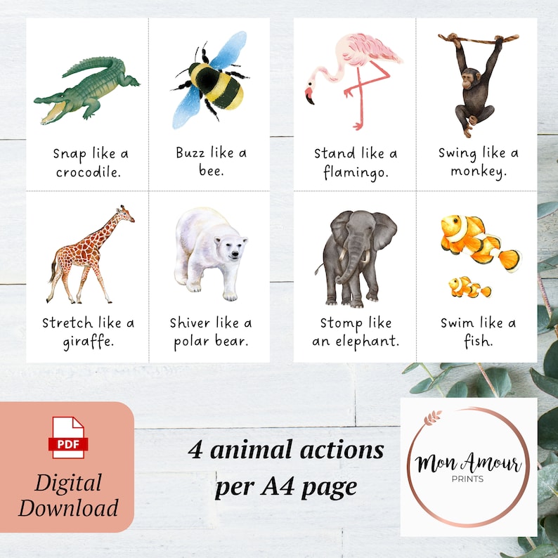 Animal Movement Cards | Fitness Flashcards | Animal Actions | Brain ...