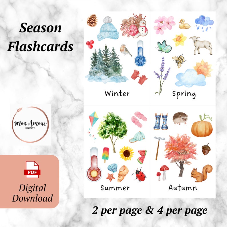 Weather Flashcards Seasons of the Year Home School Weather Study ...