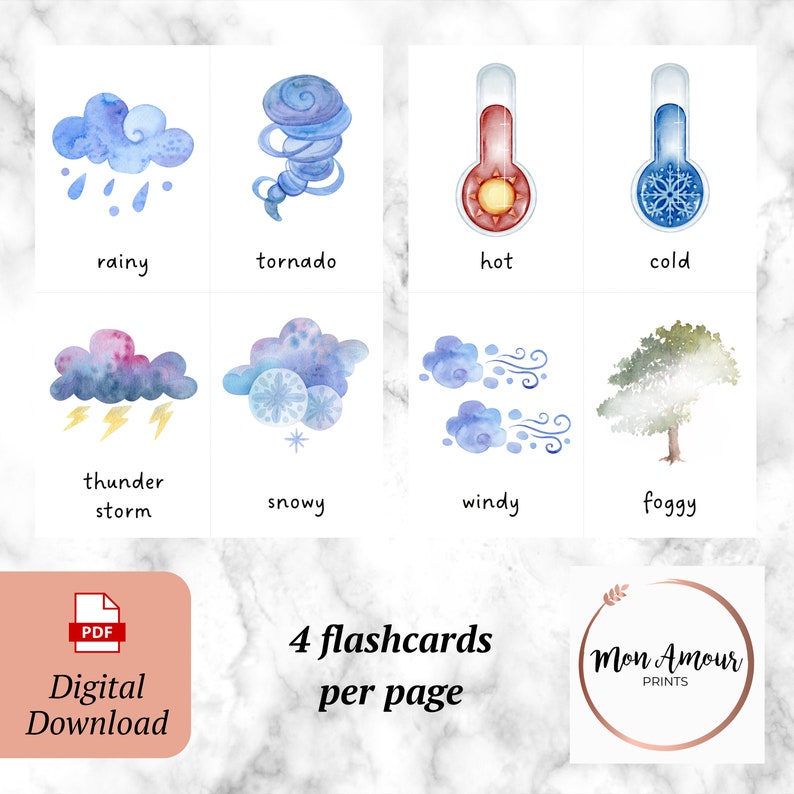 Weather Flashcards Seasons of the Year Home School Weather Study ...