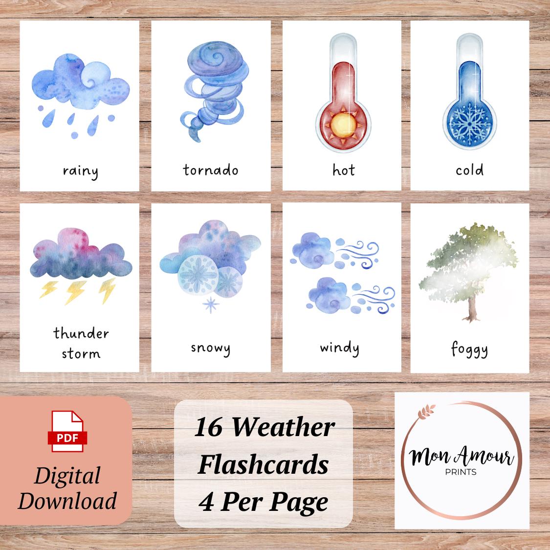 Weather Flashcards | Seasons of the Year Poster | Home School Weather ...