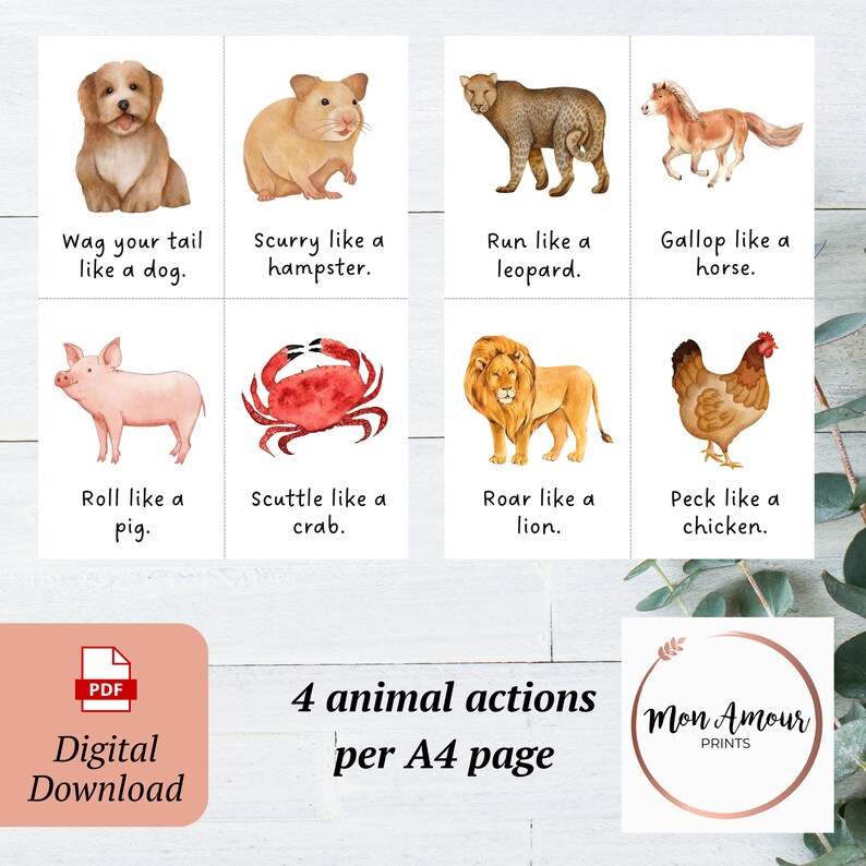 Animal Movement Cards | Fitness Flashcards | Animal Actions | Brain ...