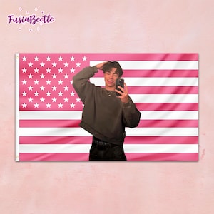 Malachi Barton Pink Flag Tapestry – Aesthetic Disney Star Wall Art ...