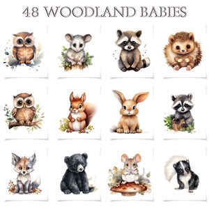 Boho Woodland Animals Watercolor Clipart Bundle, Watercolor Animals ...