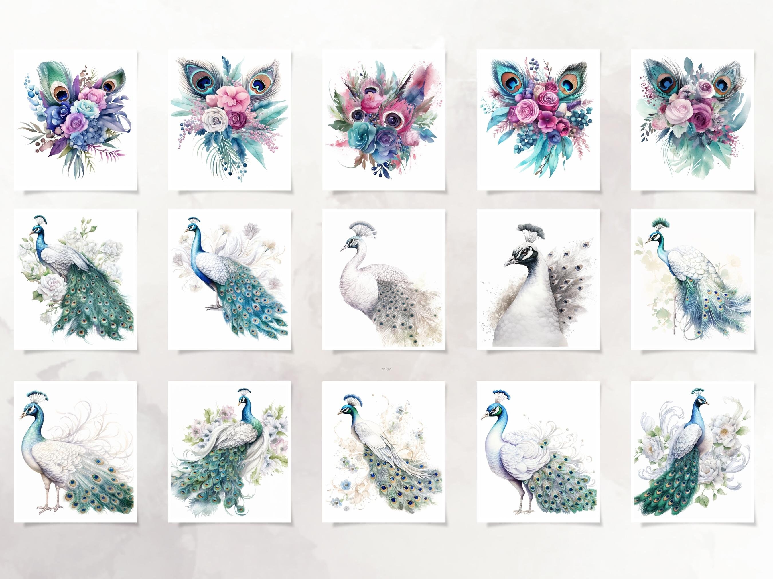Watercolor Peacock Clipart Bundle Pack 93 JPG Files Clip Art - Etsy