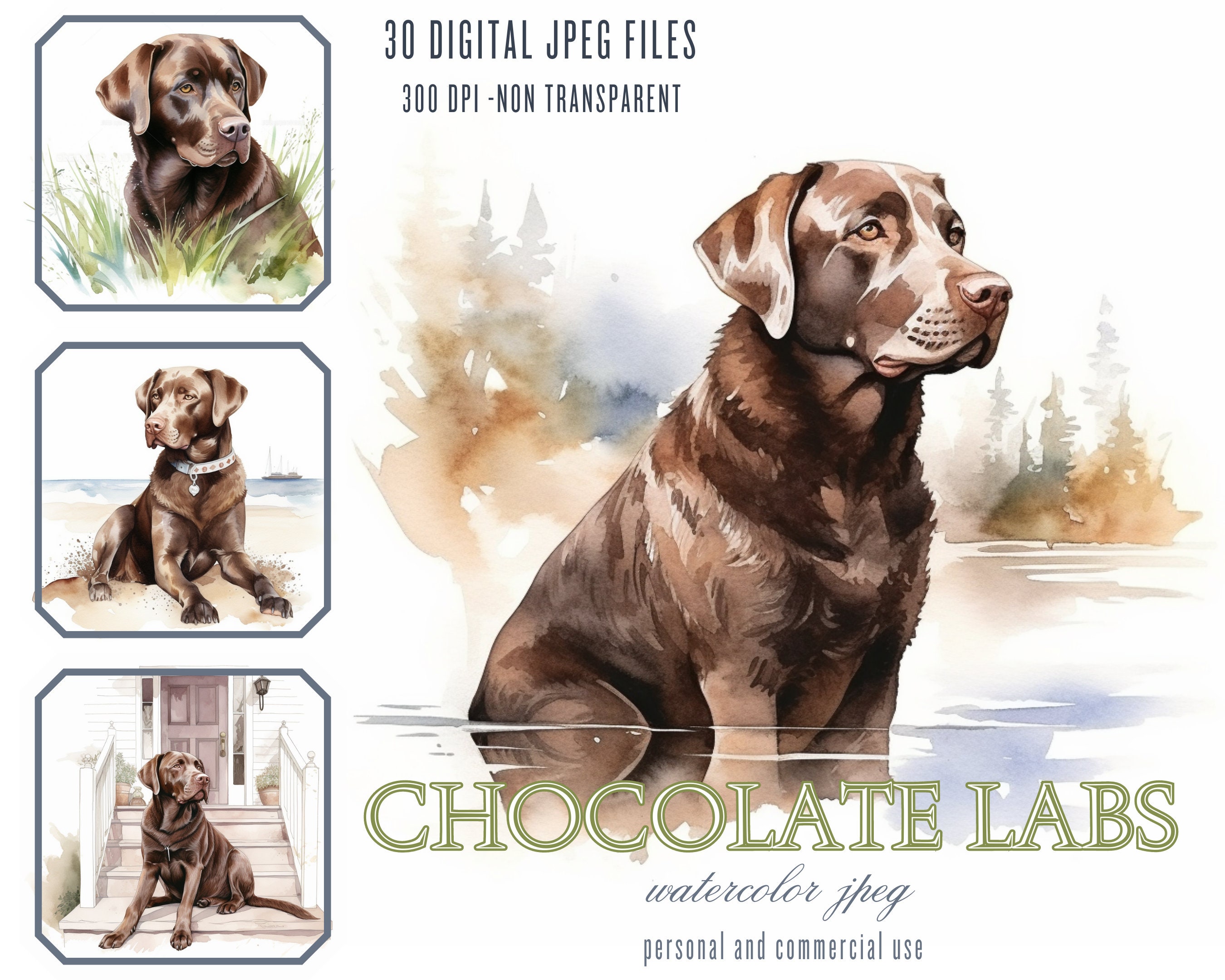 Chocolate Labrador Retriever at the Lake Digital Illustration - Etsy