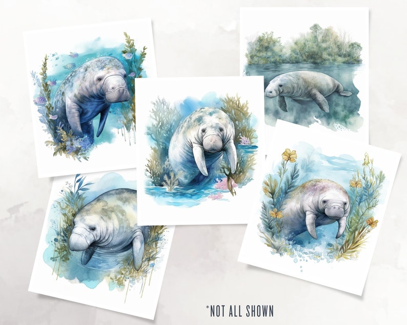 Florida Manatee Watercolor Illustration Bundle, Sea Life JPG (digital ...