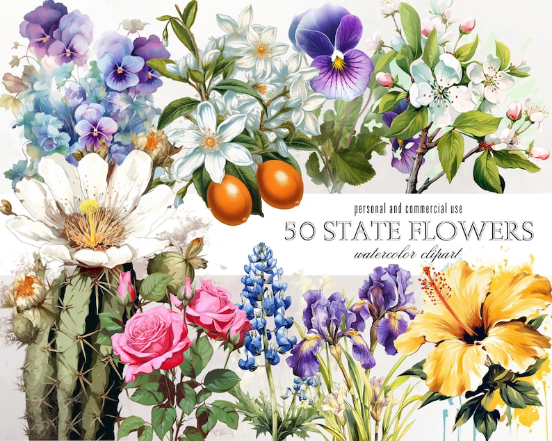 State Flowers Clipart, Wildflower PNG Bundle, Scrapbooking (digital ...