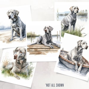 Silver Labrador Retriever on a Deck Illustration Bundle, JPG Files for ...