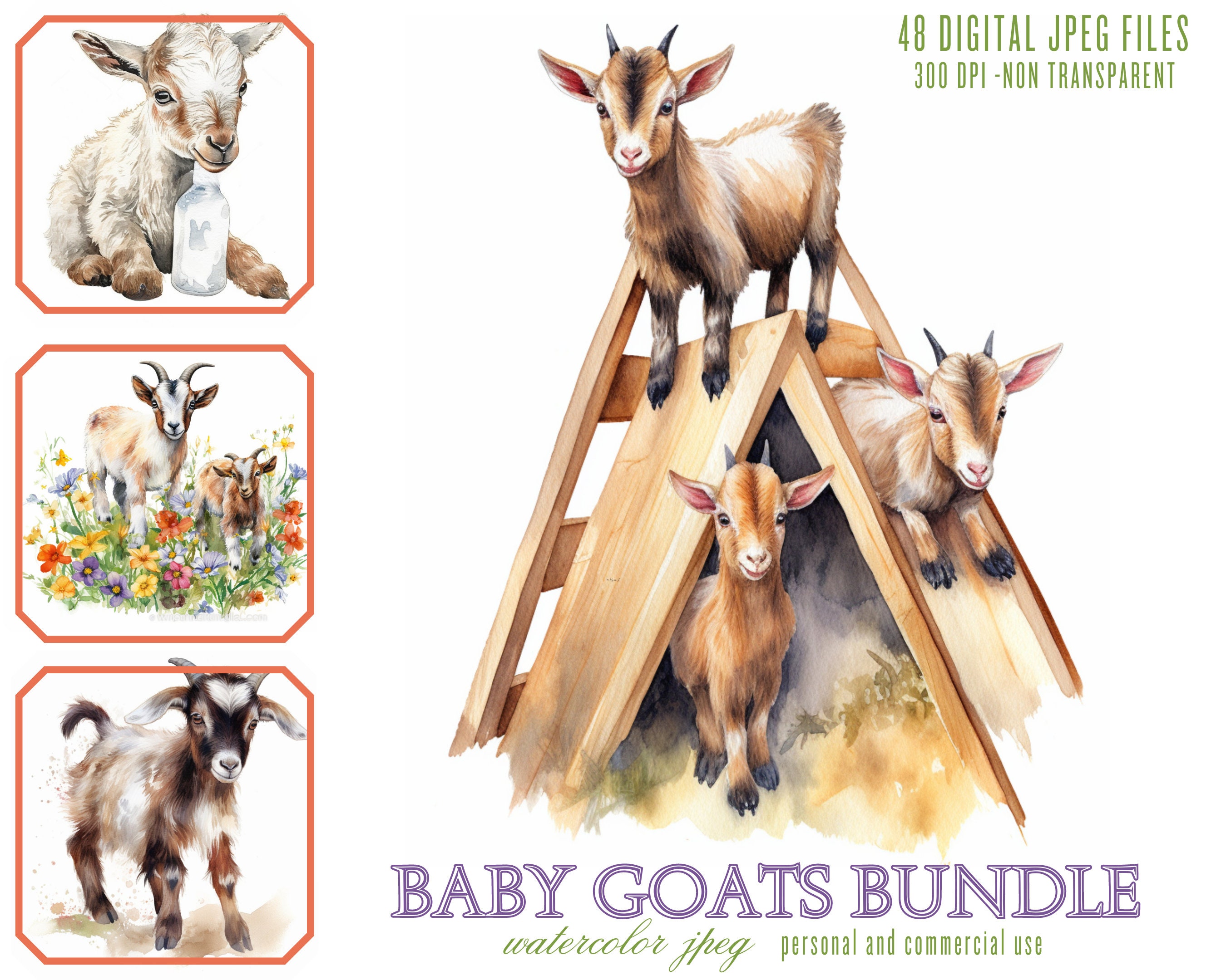 Baby Nigerian Dwarf Goats Digital Illustration Bundle JPG - Etsy