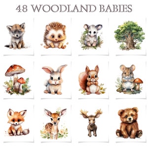Boho Woodland Animals Watercolor Clipart Bundle (digital Download) - Etsy