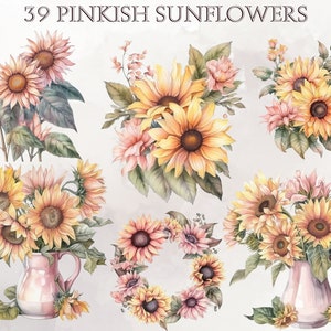 Pink Sunflowers PNG Clipart Files, Watercolor Fall Floral Bouquets ...