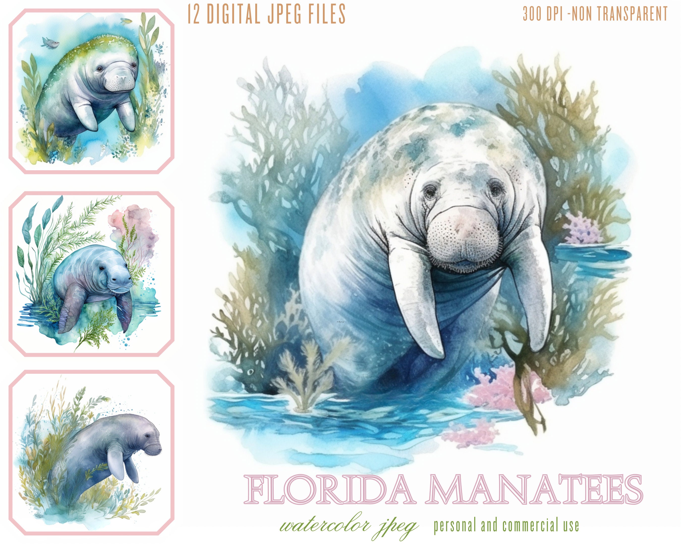 Printable Florida Everglades Manatee Ictures