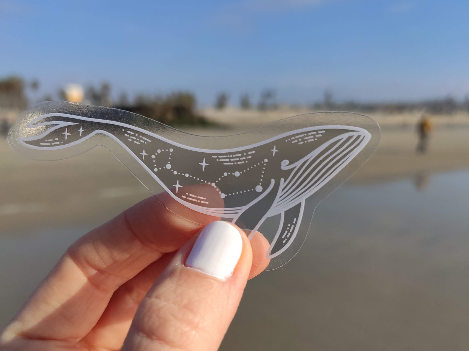 Transparent Cosmic Whales Clear Oceanic Sticker Whale | Etsy
