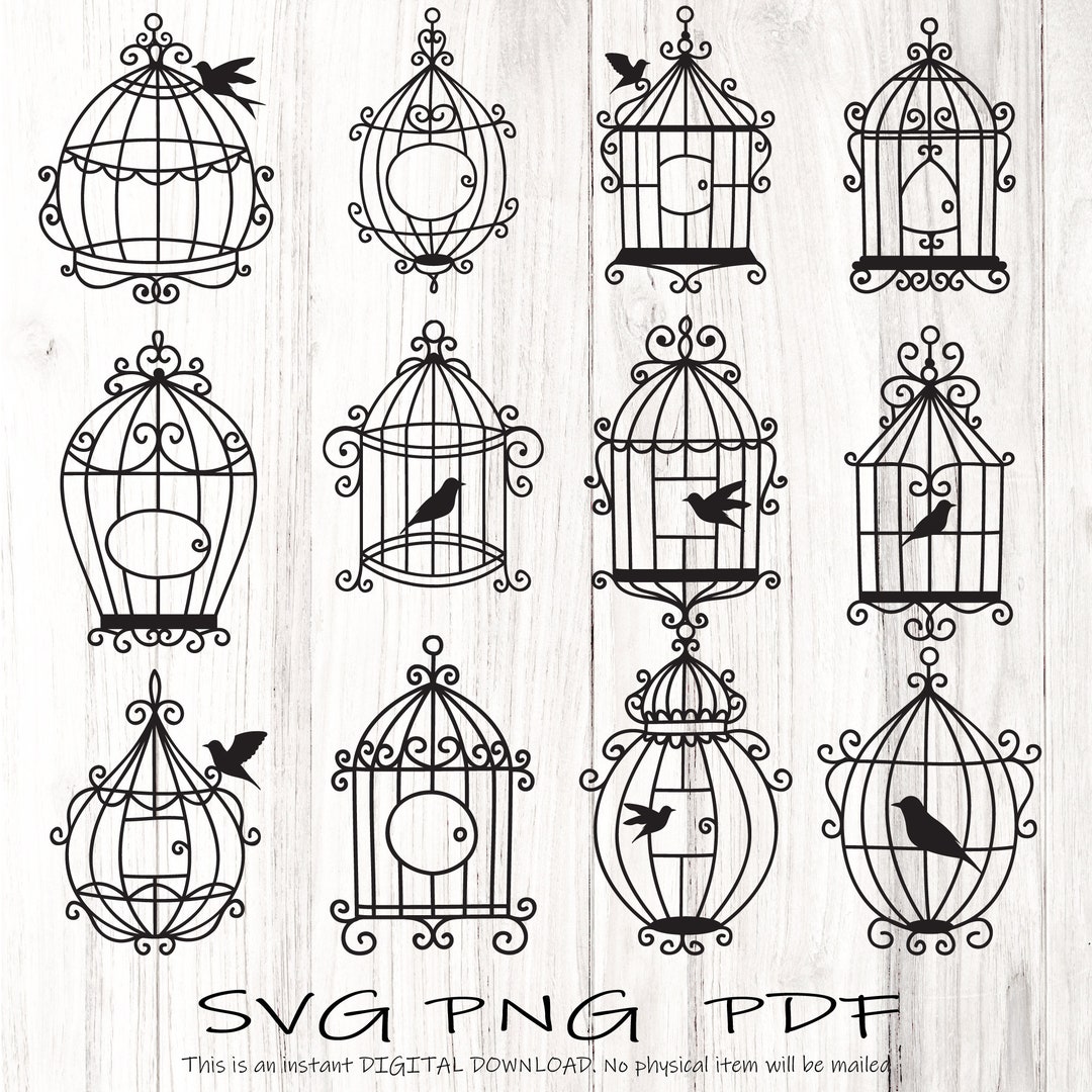 Bird Cage SVG Bundle: Vintage & Modern Designs (digital Download) - Etsy