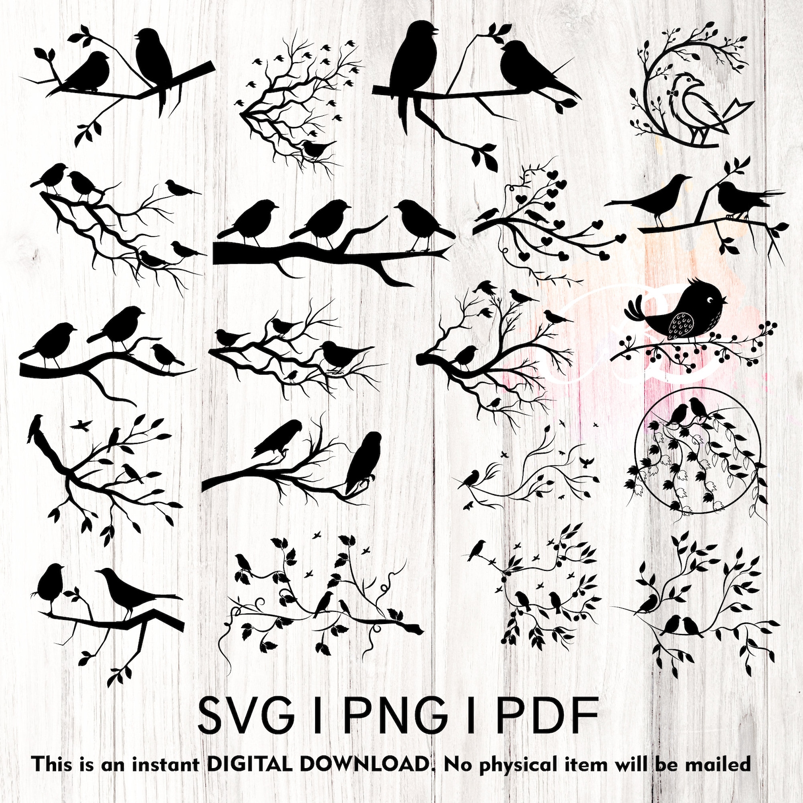 Vogel SVG Vogel auf Zweig SVG Vögel SVG Vögel auf Zweig - Etsy.de