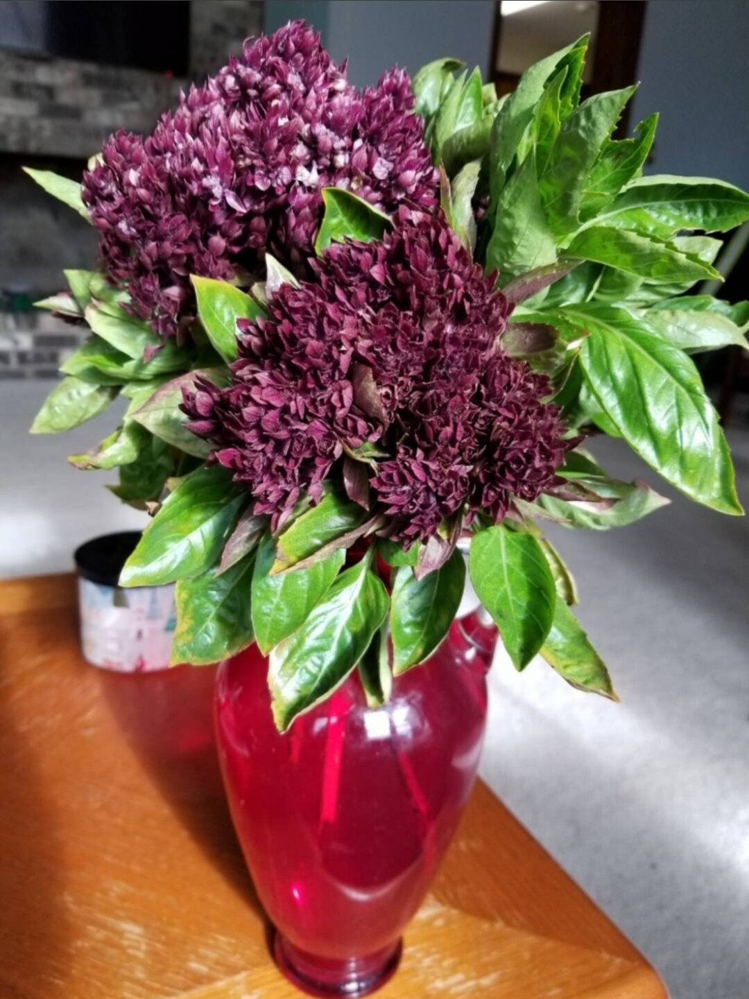 Cardinal Basil