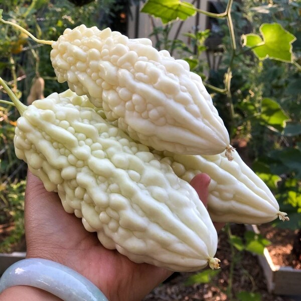 Japanese Heirloom - Etsy