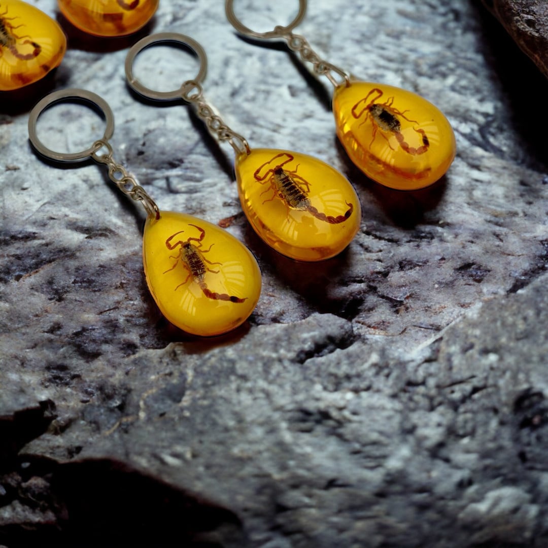 Scorpion Keychain • Real Scorpion • Insect Keychain • Preserved Insect ...