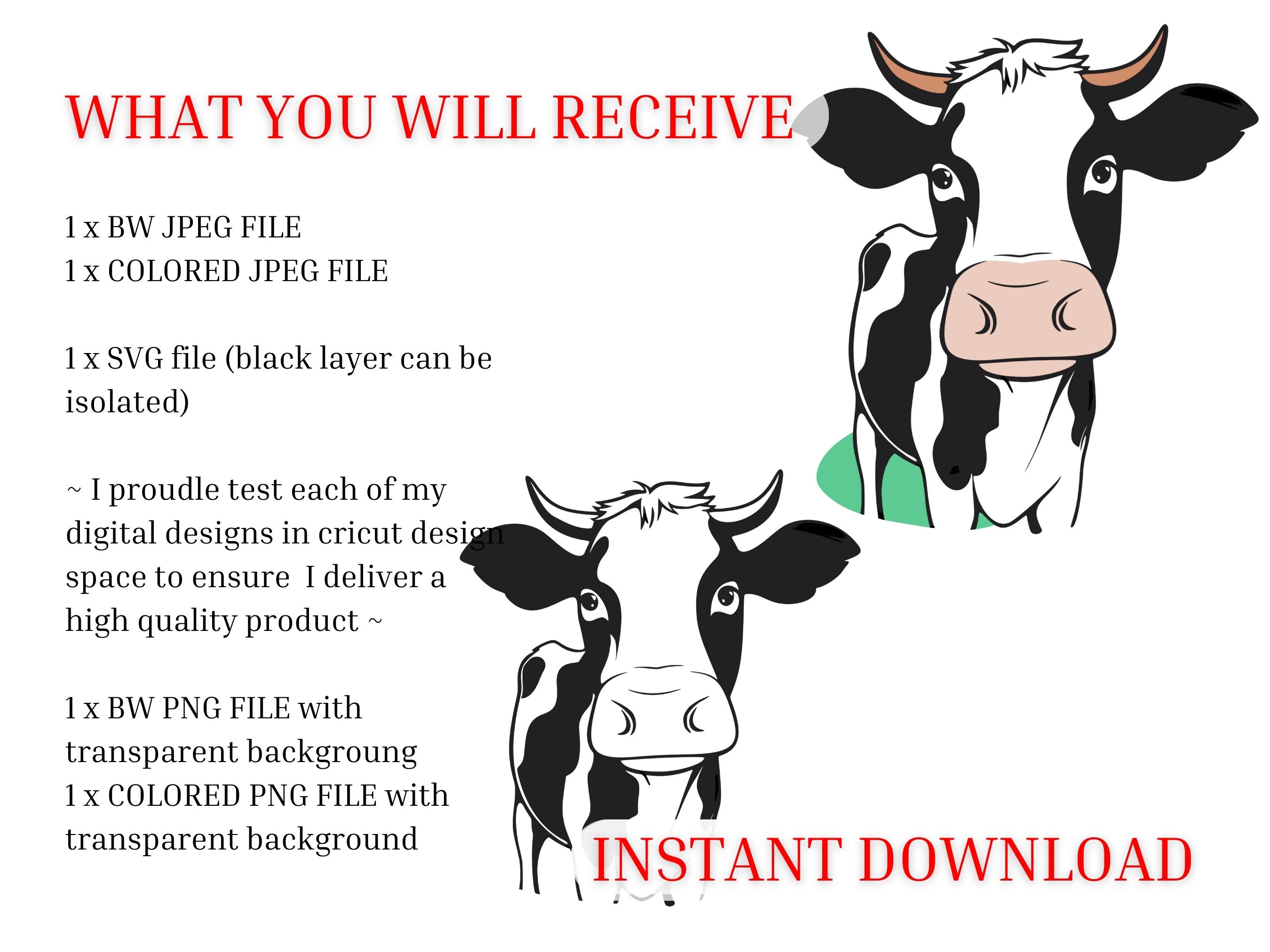 Dairy Cow Png for Shirts for Kids, Cute Cow Svg Files for Cricut Baby ...