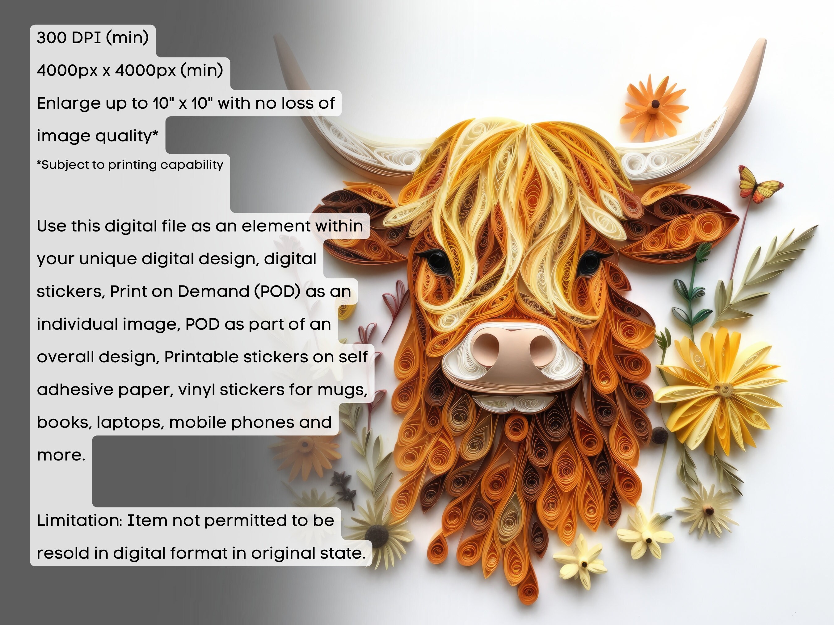 Highland Cow Quilling Art Bundle - PNG - Wall Art, Digital Art, Clip ...