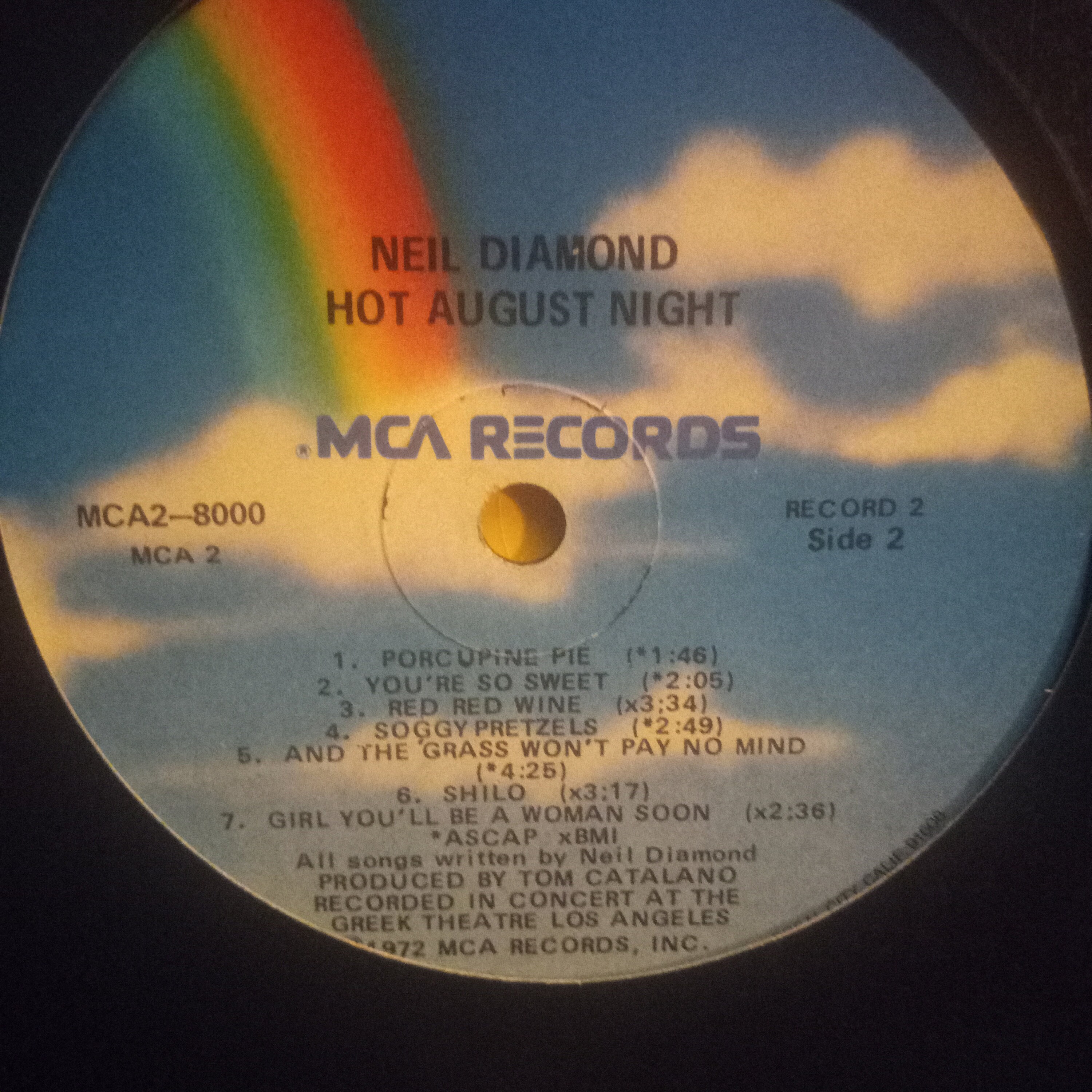 Neil Diamond Hot August Night Record 2 No Cover LP is VG - Etsy