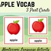 Apple Vocabulary 3 Part Cards | Montessori Language | Parts of the ...