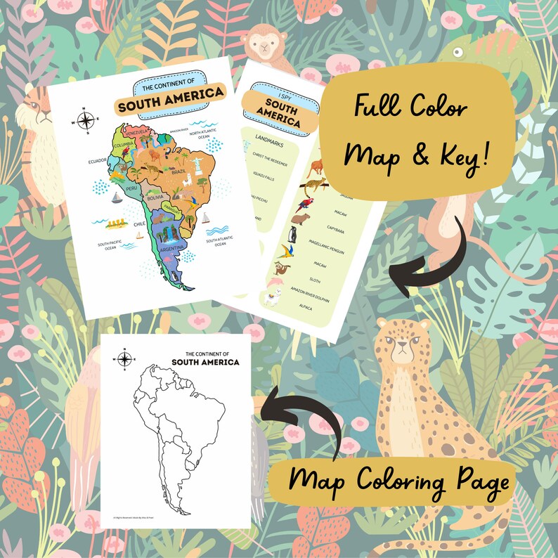 Rain Forest Animals 3 Part Cards Animals of South America Vocabulary ...
