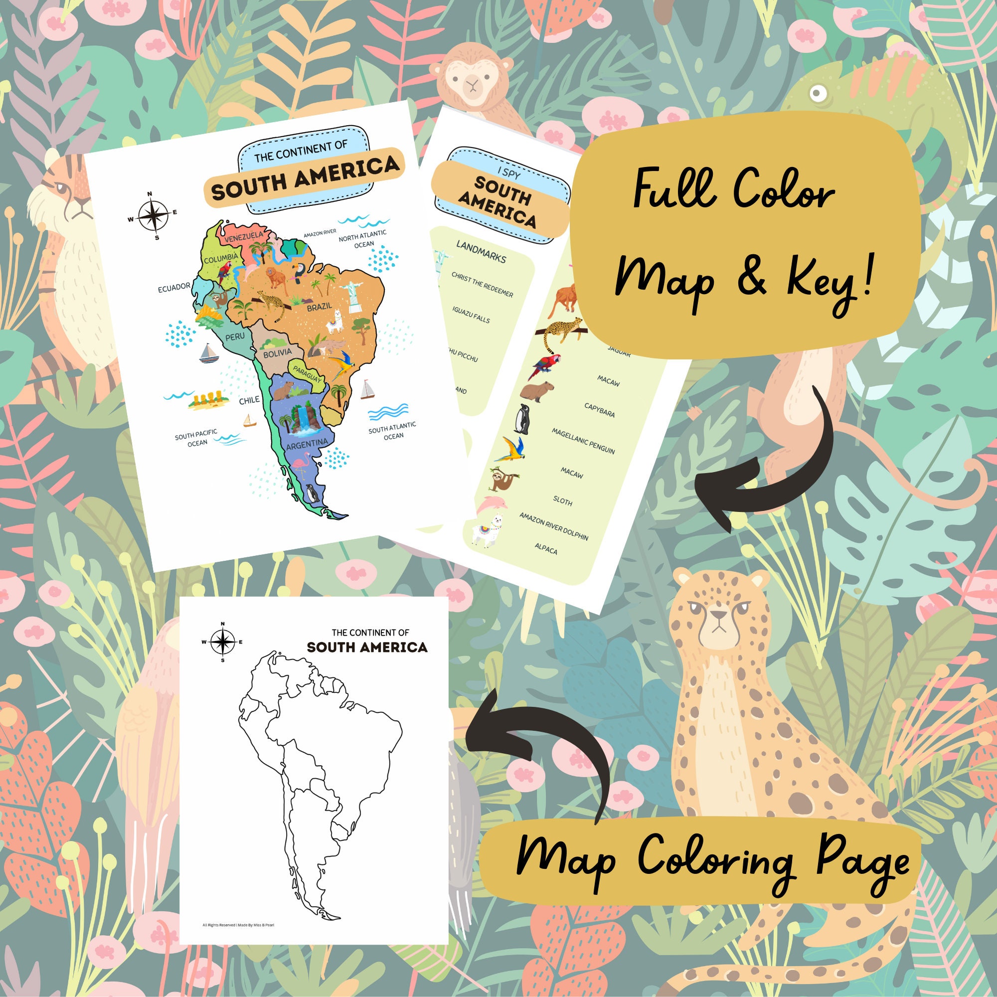 Rain Forest Animals 3 Part Cards Animals of South America Vocabulary ...