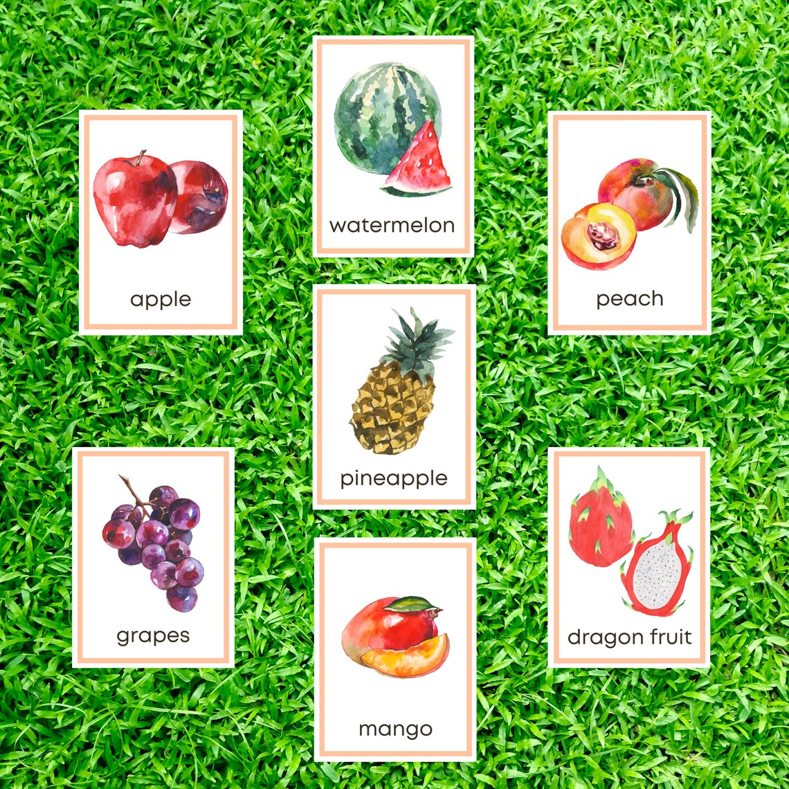 Fruit Flashcards | Watercolor Fruit | Educational | Montessori ...