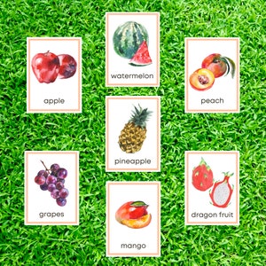 Fruit Flashcards | Watercolor Fruit | Educational | Montessori ...
