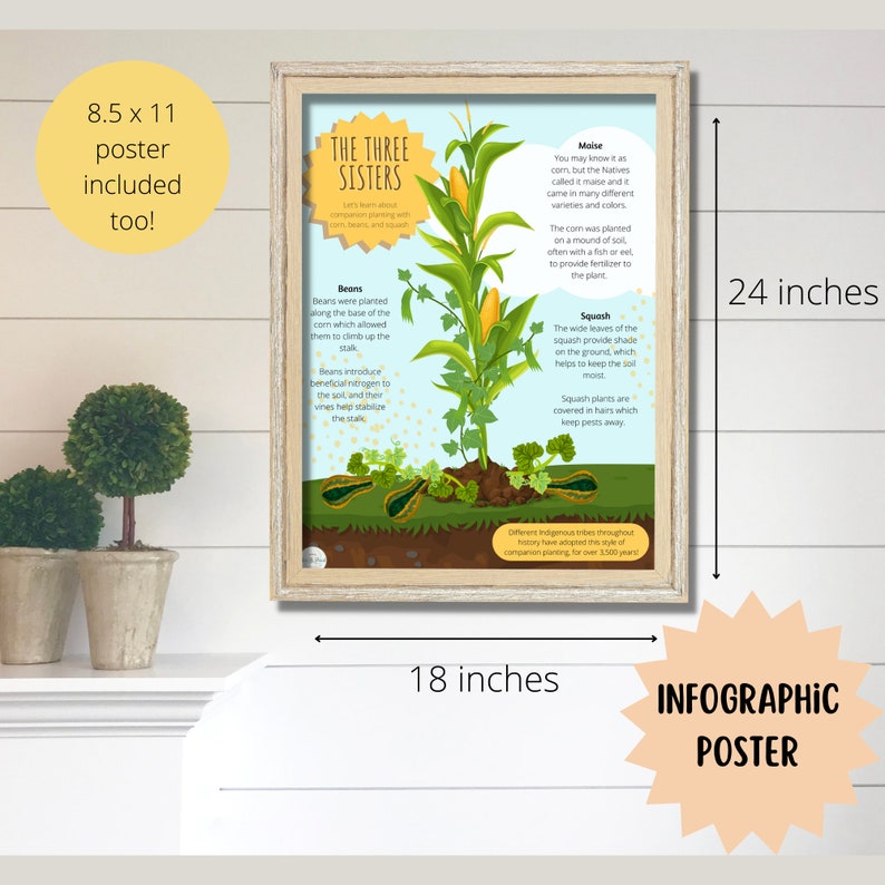 Three Sisters Unit | Companion Planting | Native American | Indigenous ...