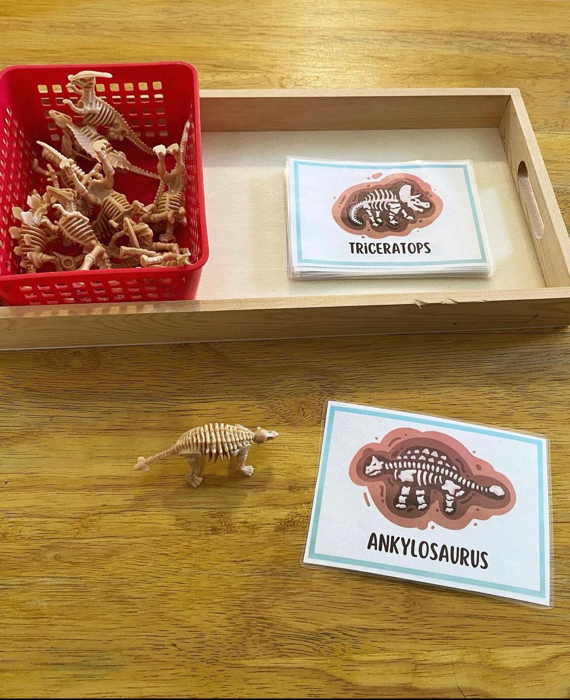 Dinosaur Fossil Cards | Dinosaur Matching | Memory Game | Language ...