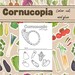 Cornucopia Color Cut and Glue Activity | Thanksgiving Worksheet ...