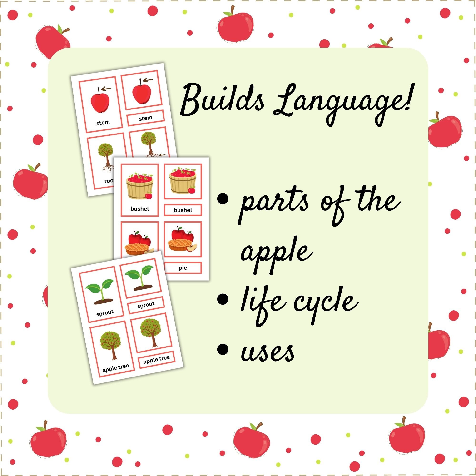 Apple Vocabulary 3 Part Cards | Montessori Language | Parts of the ...