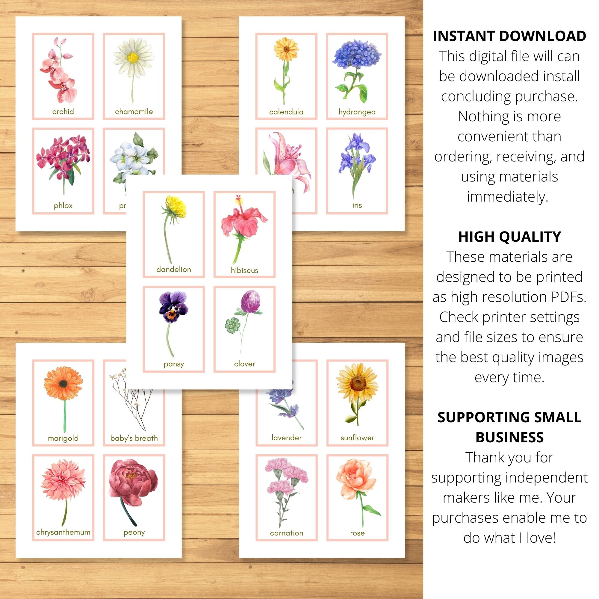 Watercolor Flower Flashcards | Flower Cards | Plant Identification ...