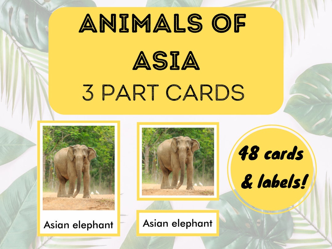 Animals of Asia 3 Part Cards | Montessori Geography | Social Studies ...