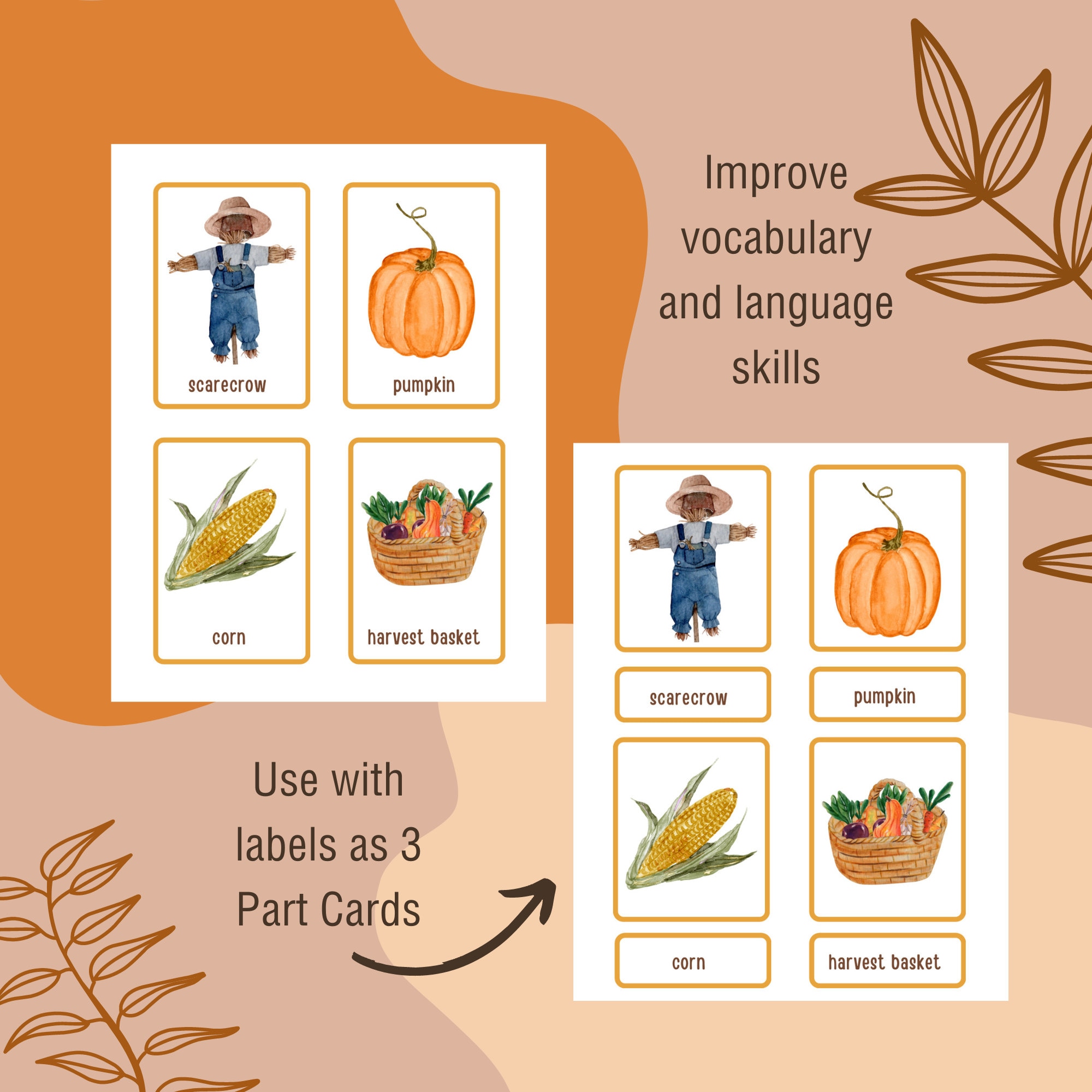 Autumn Vocabulary Cards | Fall Vocabulary | Montessori | Language | 3 ...