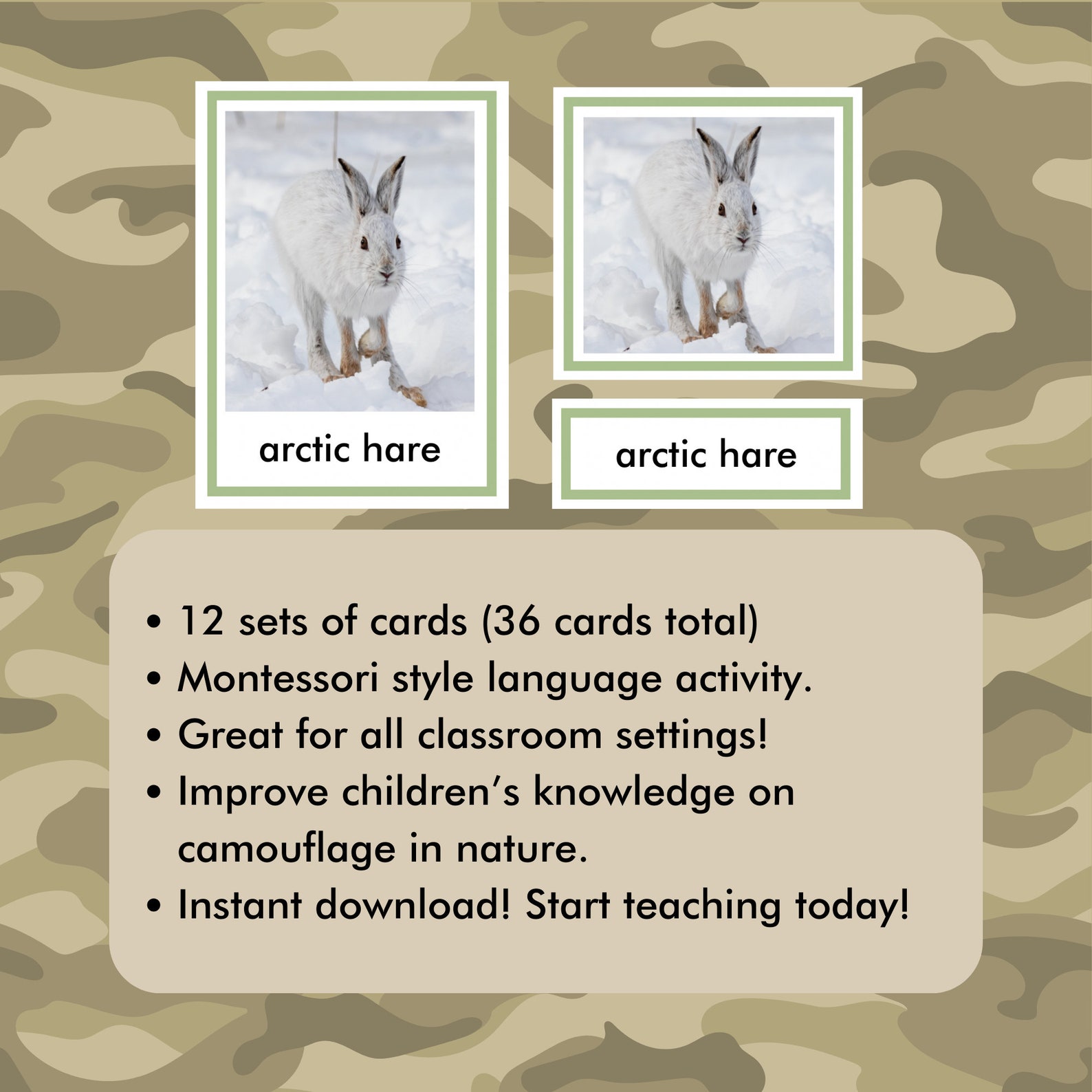 Animal Camouflage 3 Part Vocab Cards | Montessori Language Activity ...